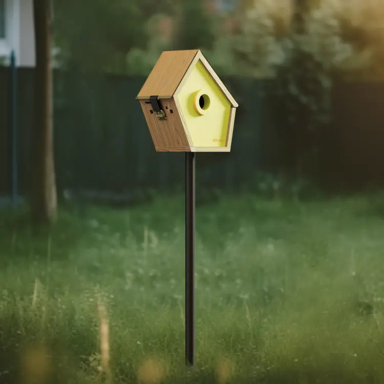 Birddy Ground Stand (Pre-order) – Reli Technologies