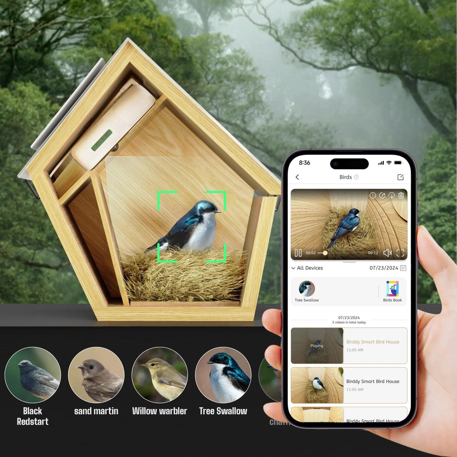 Reli Birddy Smart Bird House - Reli Technologies